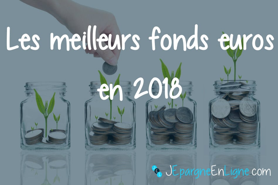 Assurance-vie 2018 : les meilleurs fonds euros